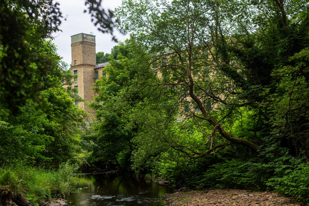 Castle Wools: British Made 100% Wool Blankets and Sheepskins – CASTLE WOOLS